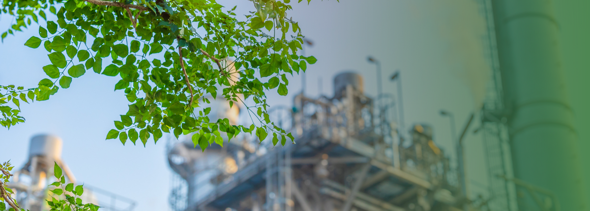 Eco-Friendly Screen Printing: Minimizing Chemical Waste and Environmen ...